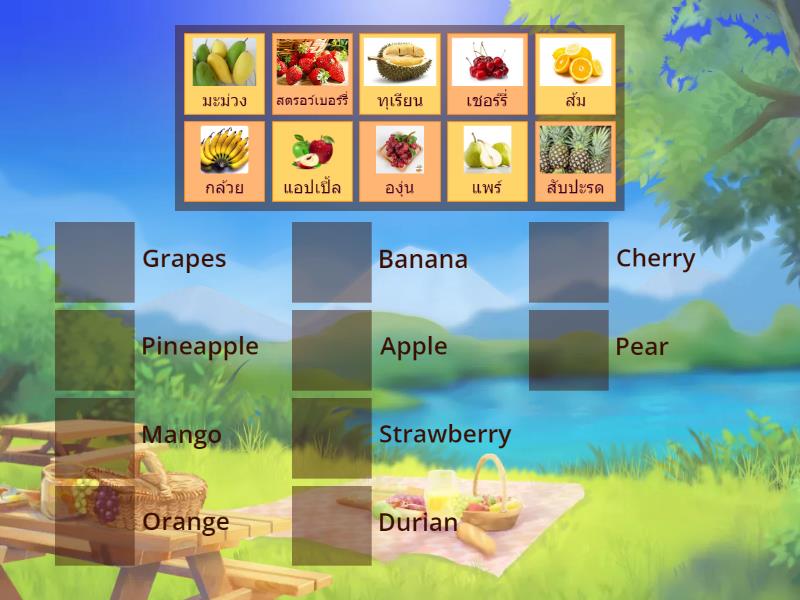 Match the Fruit - Match up