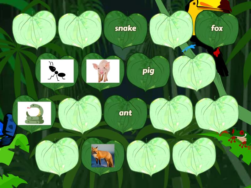 Spelling: Animals - Matching pairs