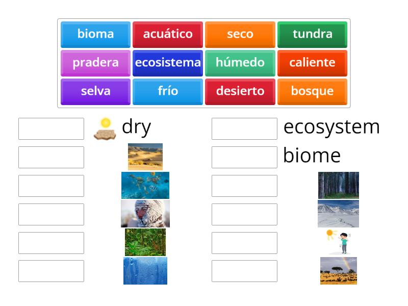 Ecosistemas y Biomas - Associação