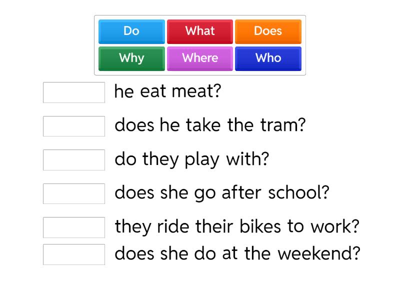 wh questions - Complete the sentence