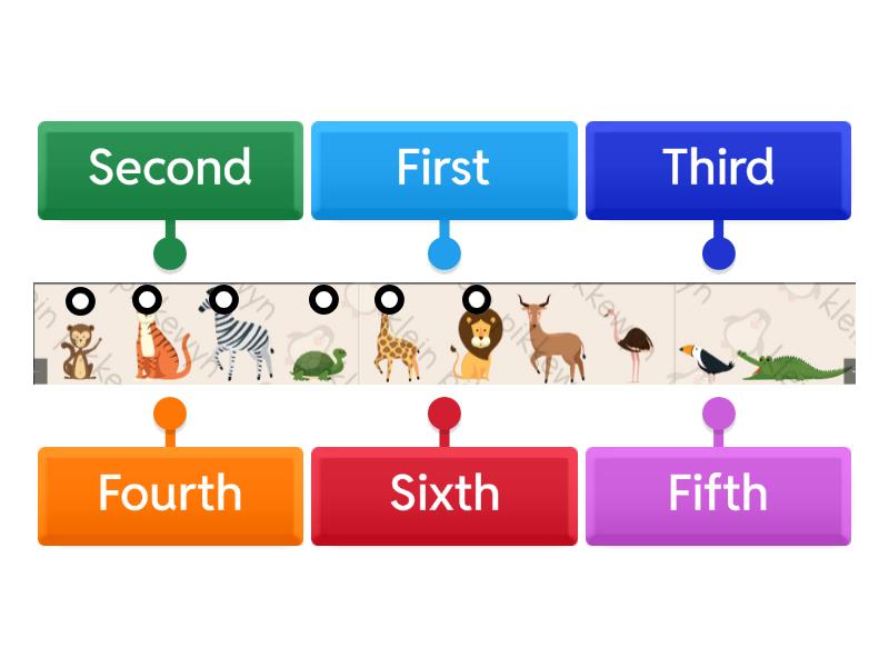 Ordinal numbers - animals - Labelled diagram