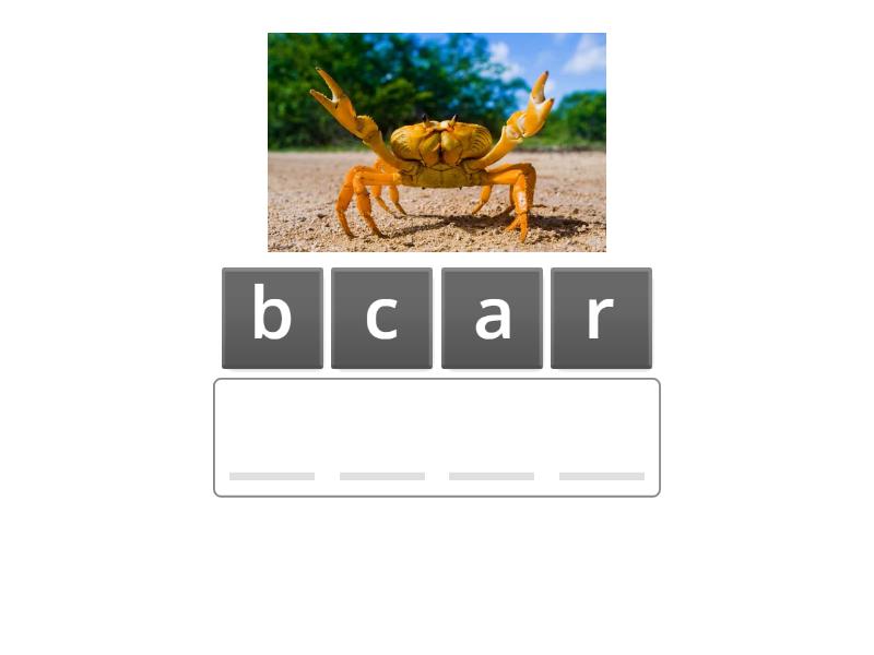 Phonics - Initial Blends & ks Sound Spelled x - Anagram