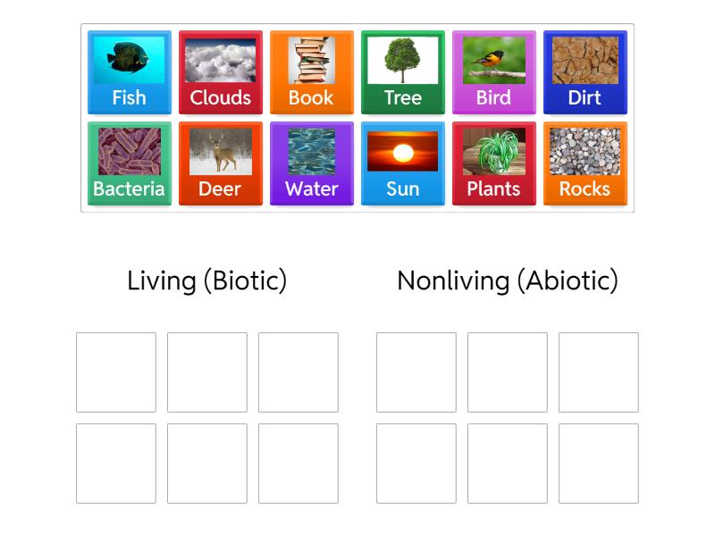 Biotic vs. Abiotic Factors Sorting - Group sort