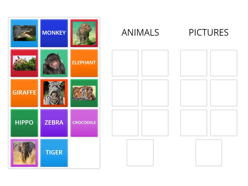 Zoo animals - Group sort
