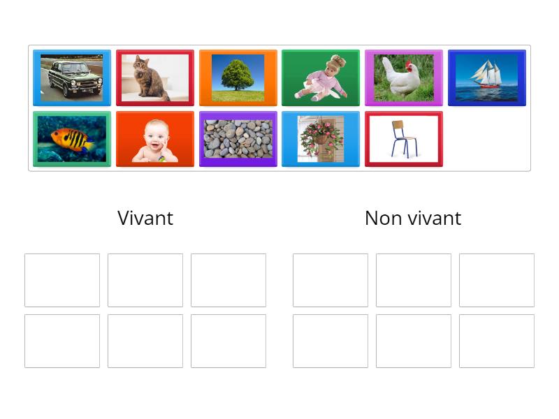 Vivant ou non vivant ? - Group sort