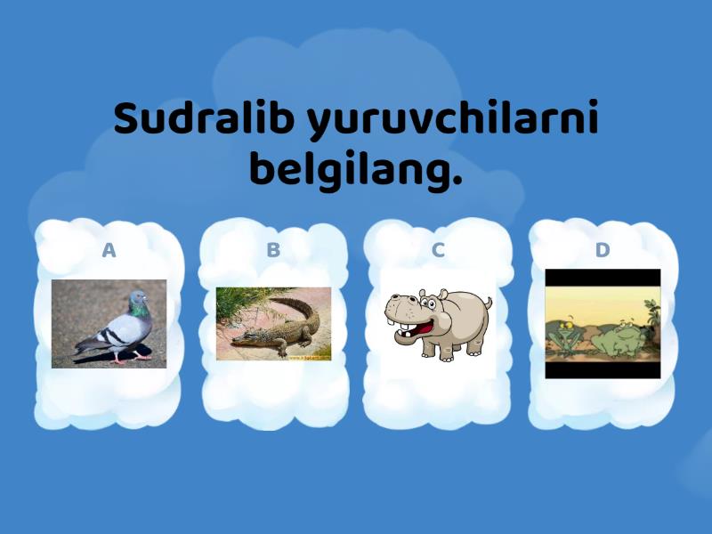 7 sinf - Quiz