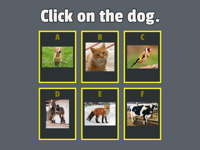 Following directions - IEP Goal - Quiz