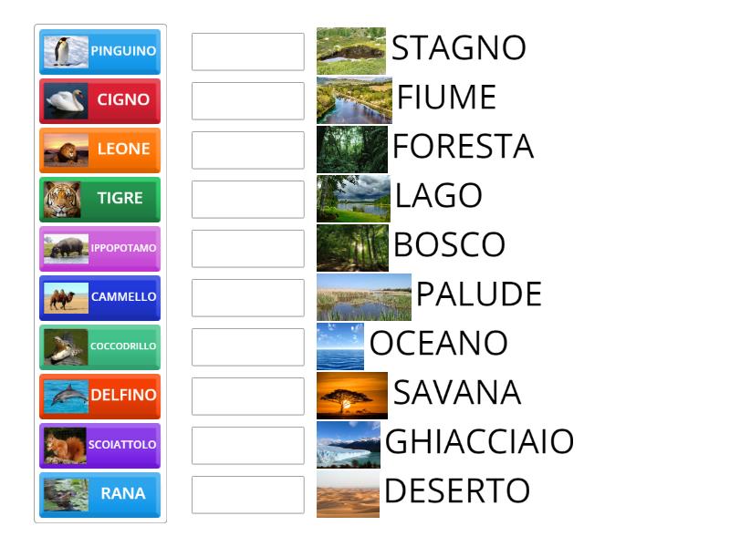 GLI ANIMALI E IL LORO HABITAT - Abbinamenti