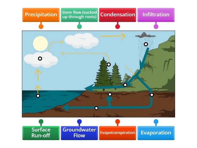 The hydrological cycle - Labelled diagram