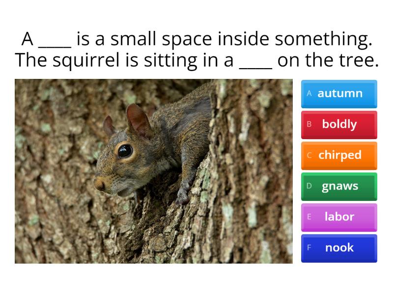 HMH Grade 1 Module 8 Week 2 Vocabulary - Quiz