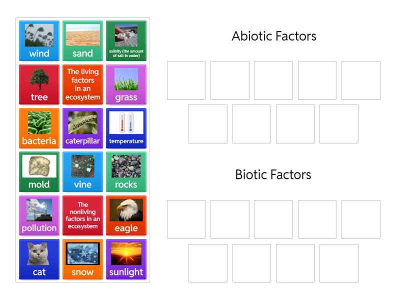 What makes a habitat a home? Abiotic vs Biotic Factors - Group sort