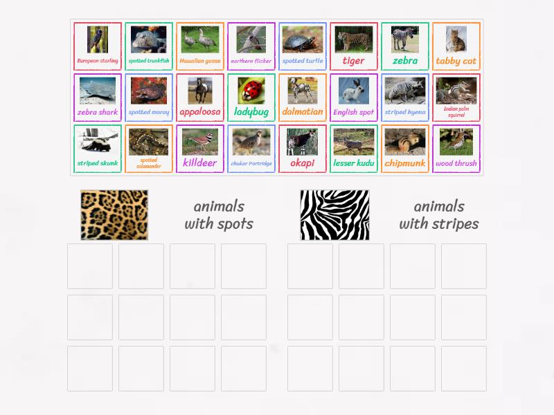 animals with spots and stripes - Group sort