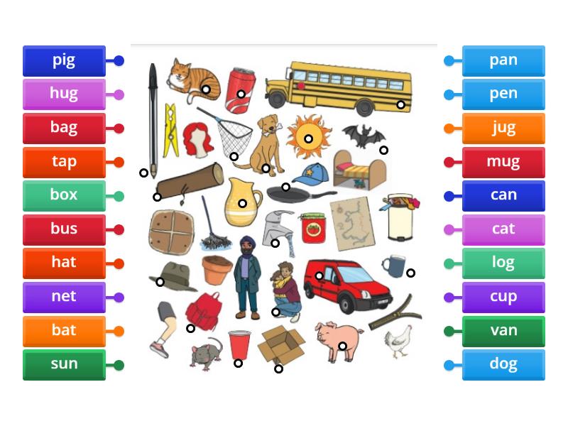 Phase 2 CVC words - Labelled diagram