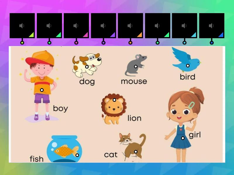 lion - Labelled diagram