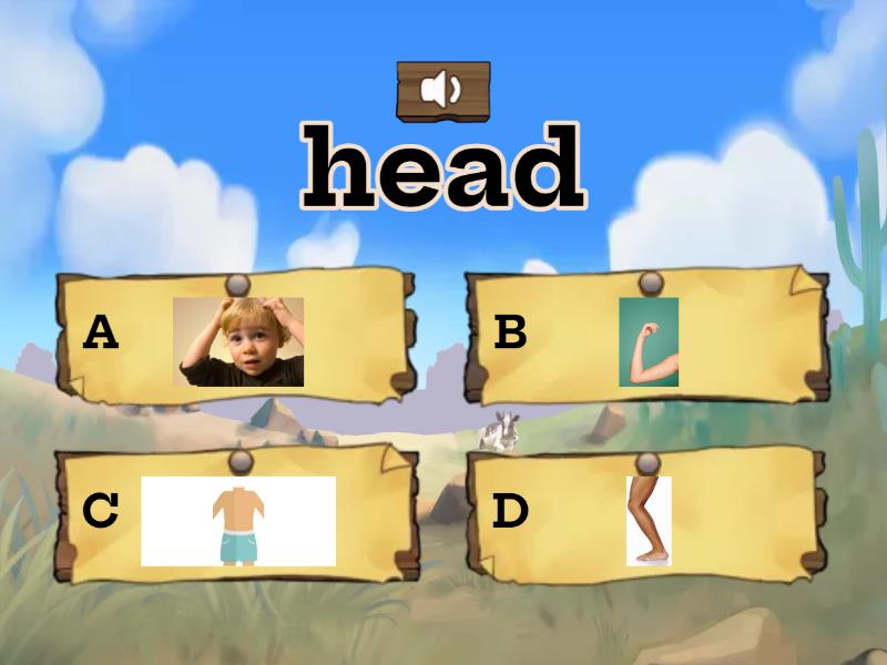 Part of the body - Head, body, arms and legs - Quiz