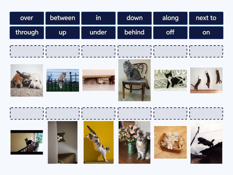 Prepositions and cats - Match up