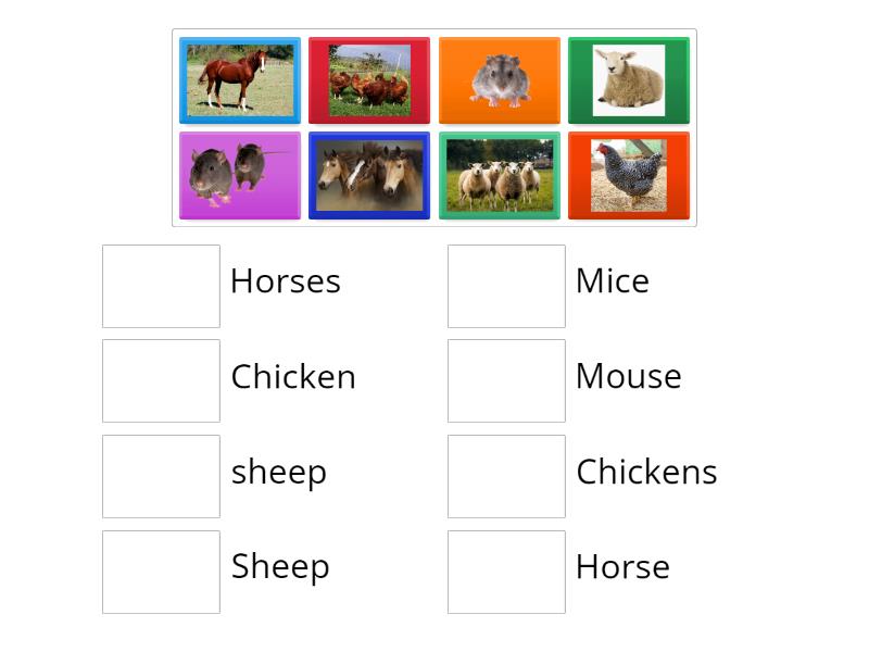 Buzz 2 Unit 2 - Singular and plural - Match up
