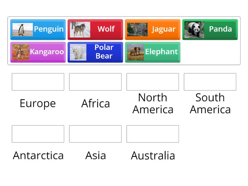 Animal Continent Game - Match up
