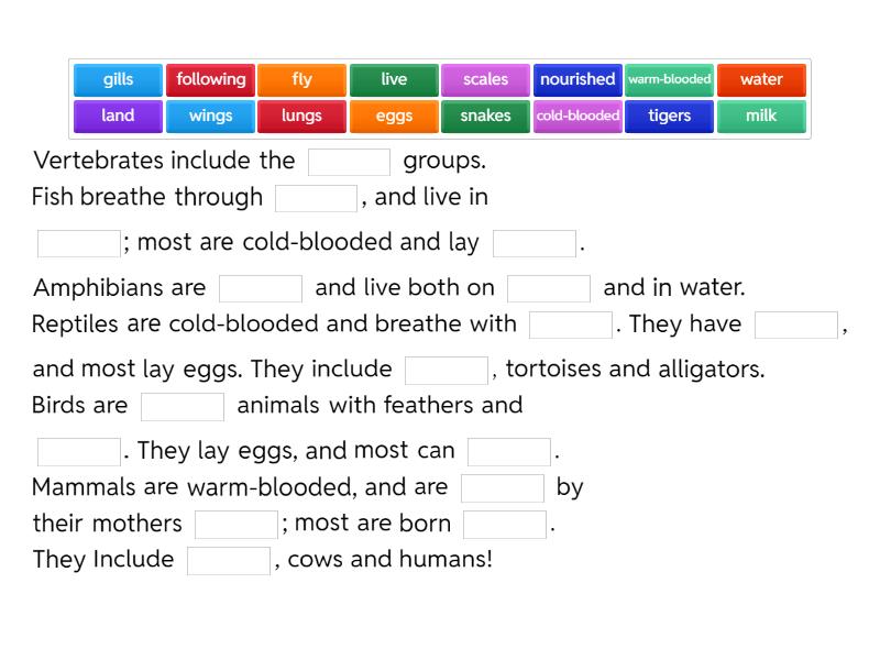 AW Yr 7 Invertebrates and Vertebrates - Complete the sentence