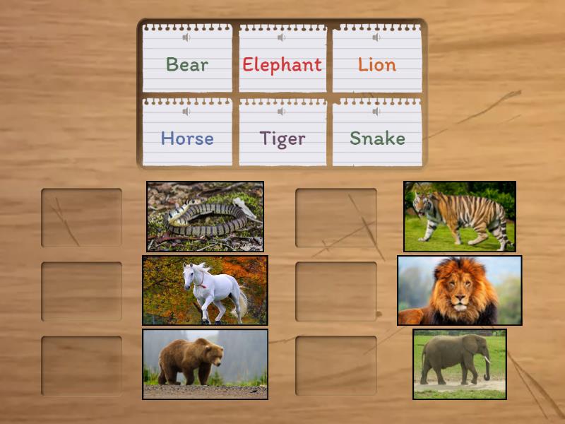 Als_Pre_U10_L2 - Match up