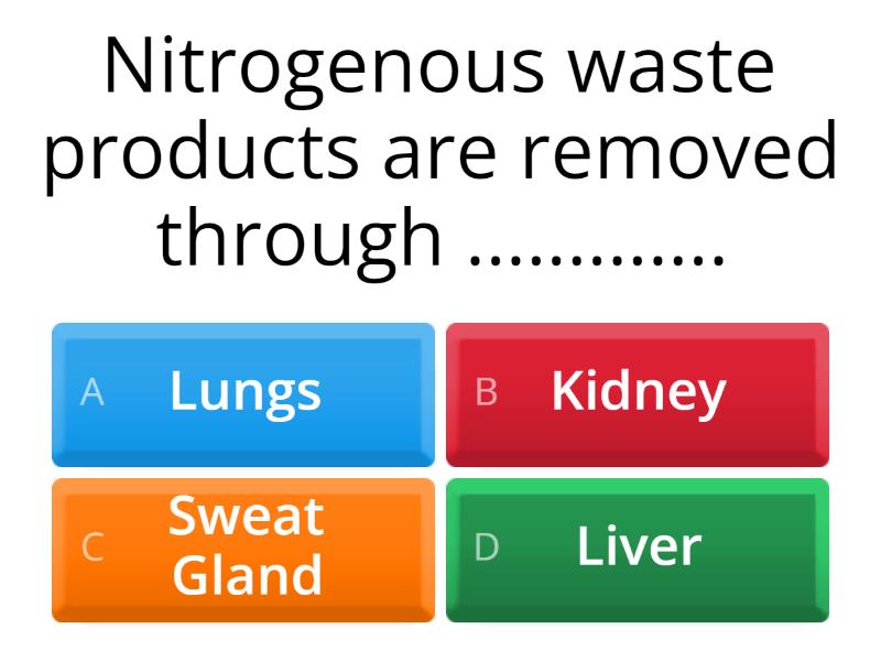 Excretory System - Quiz