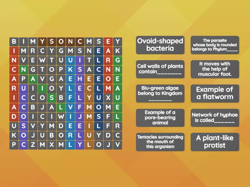 Kingdom puzzle - Wordsearch