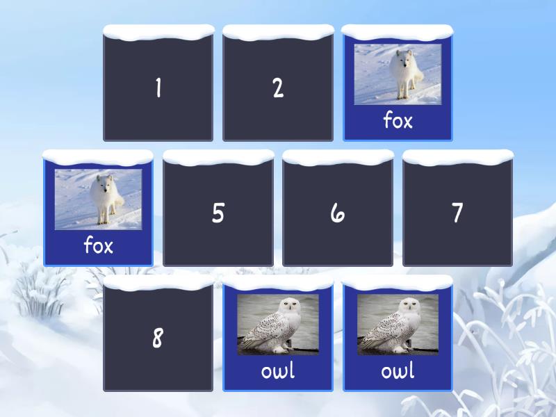 Winter Animal matching - Matching pairs