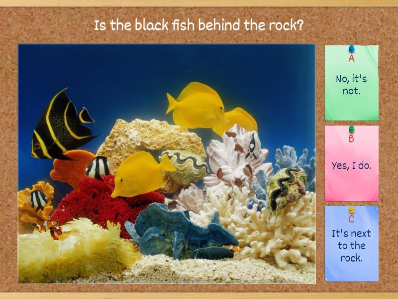 JR04 PREPOSITIONS SEA ANIMALS - Quiz