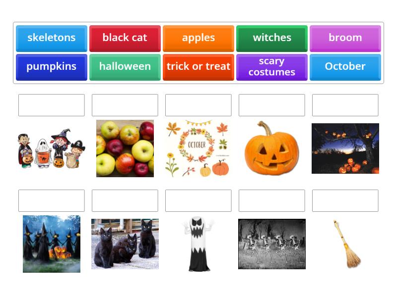Halloween- vocabulary - Match up