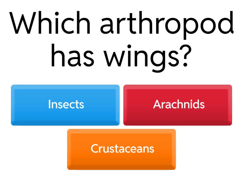 Arthropods - Quiz