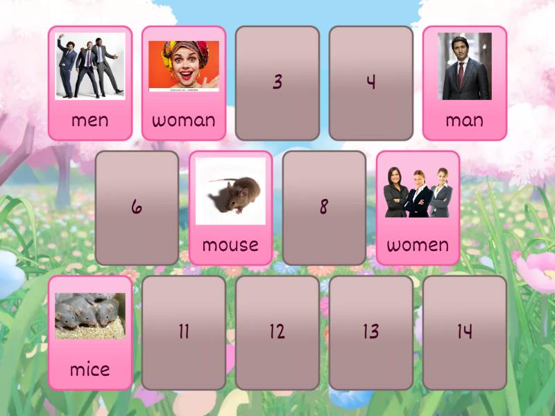 Irregular Plurals - Matching pairs