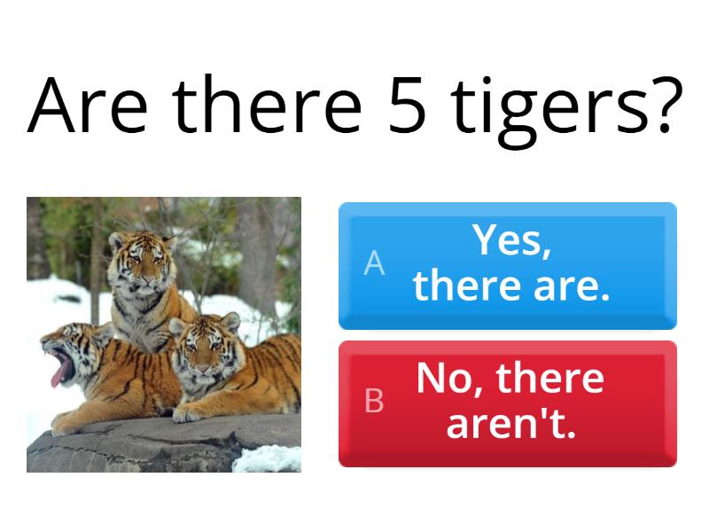 SM1 Unit 6 Is/Are there quiz - Cuestionario