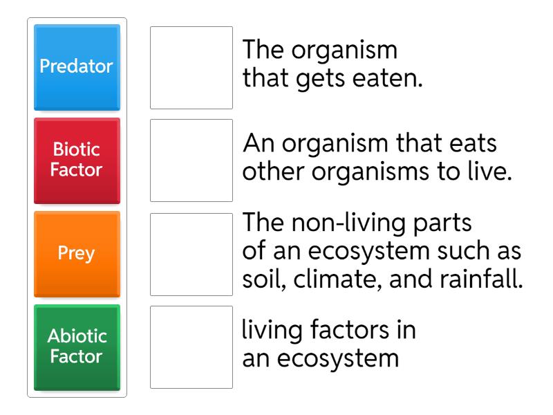 5th Grade Science - Ecosystem - Match up