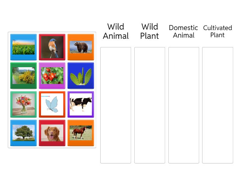 Wild/domestic - Group sort