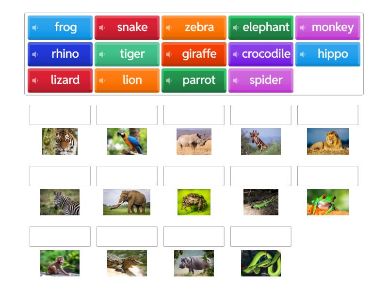 Wild Animals - Match up