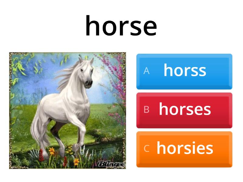 EF beginner unit 3a Plural - Quiz