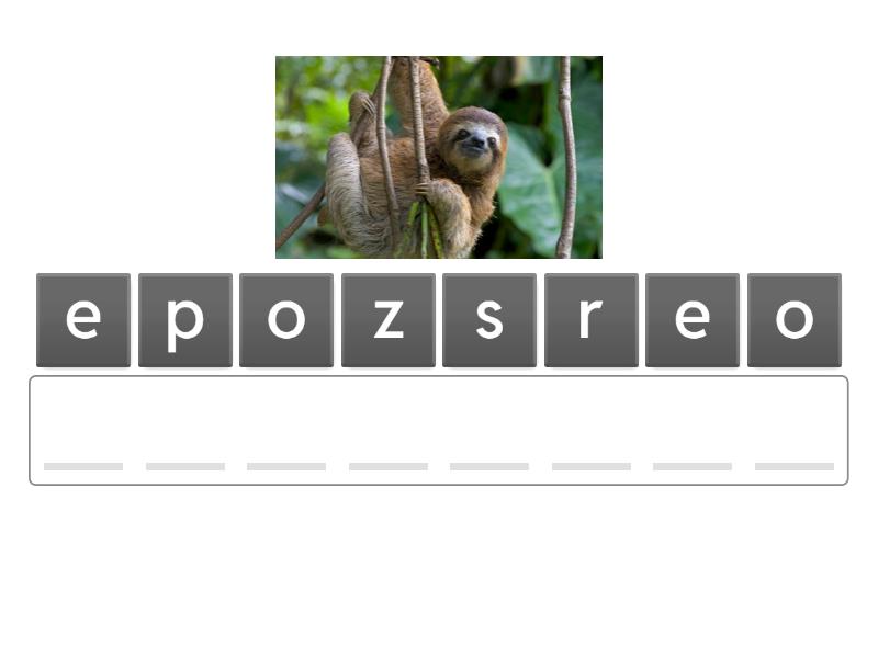 animales del bosque tropical - Anagram