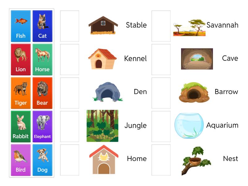 Animals and their homes - Match up