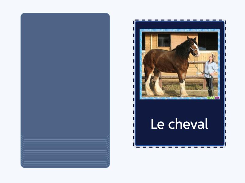 Les loisirs vocabulaire - Speaking cards