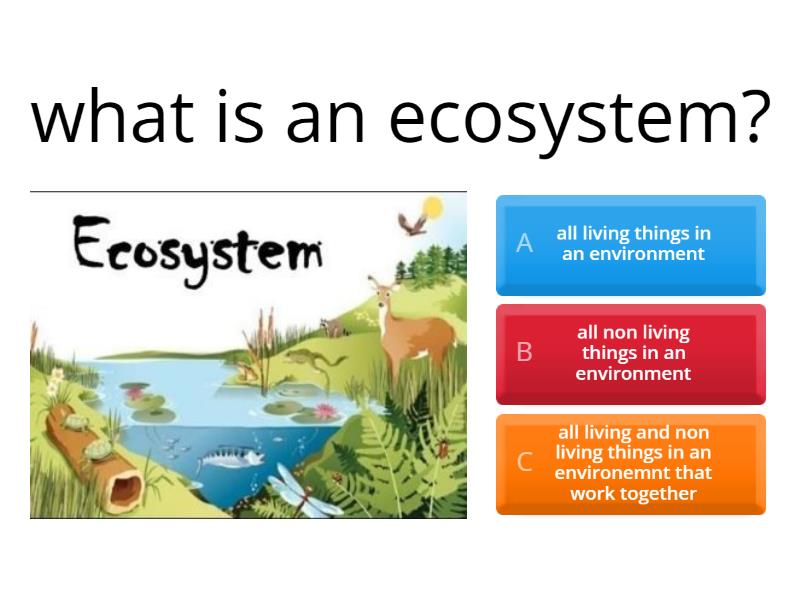 ECOSYSTEMS - Quiz