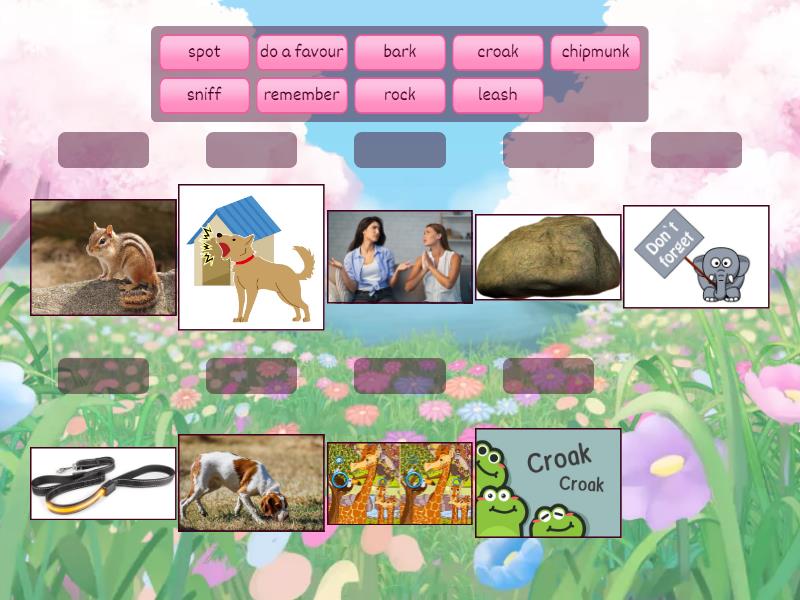 City dog, country frog - Match up