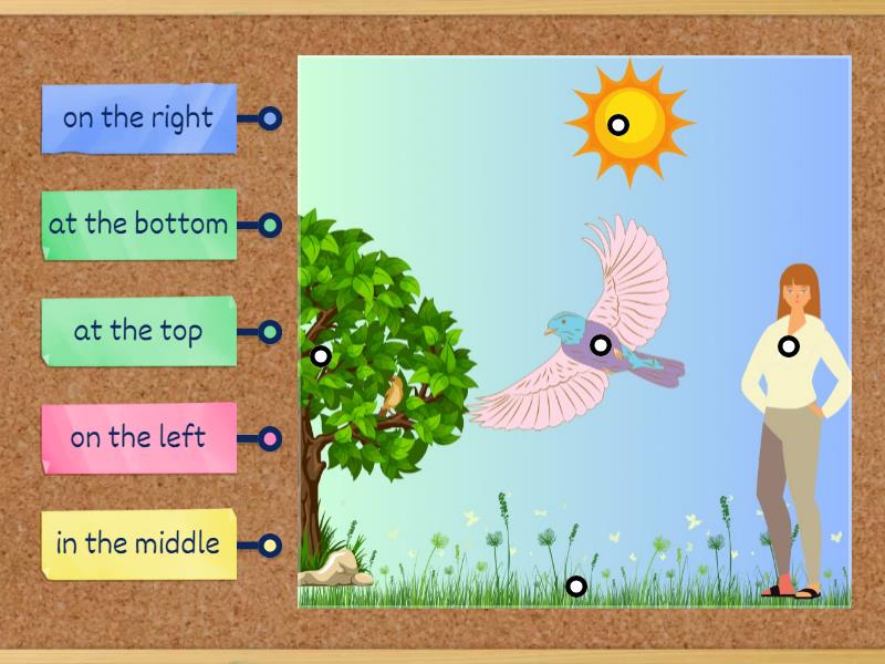 top, bottom, left, right, middle - Labelled diagram