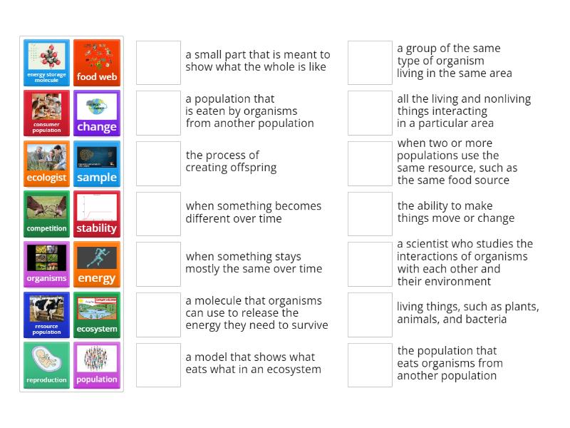 Populations and Resources Vocabulary - Match up
