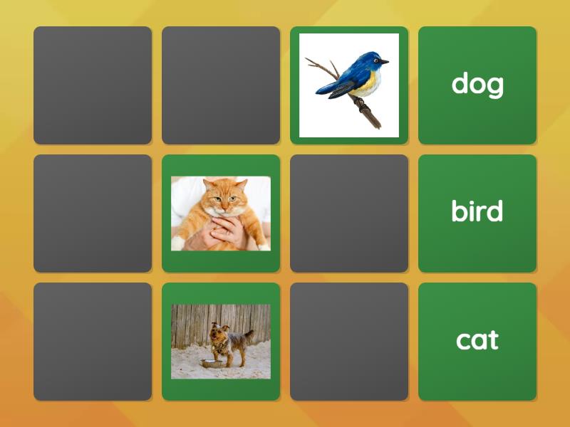 pets-memory game - Matching pairs