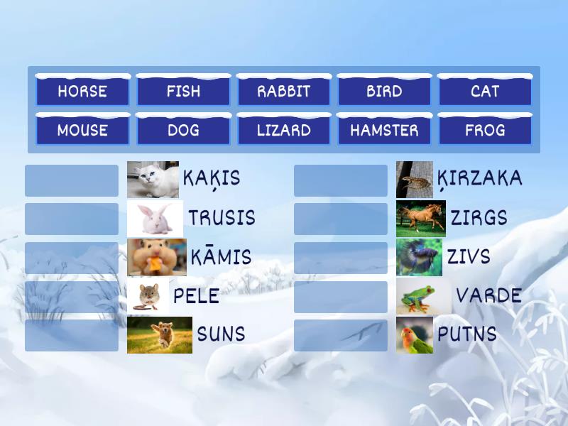 PETS GRADE 2 - Match up