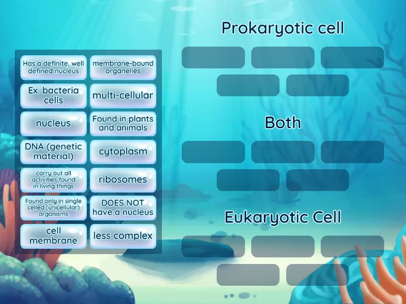 Prokaryotic cells vs Eukaryotic Cells - Group sort