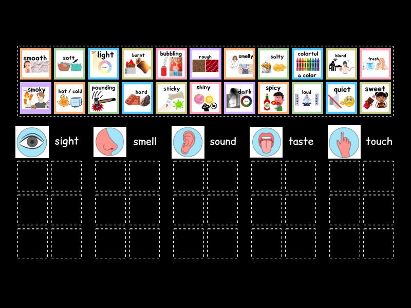 Activity 3: Five senses sorting. - Group sort