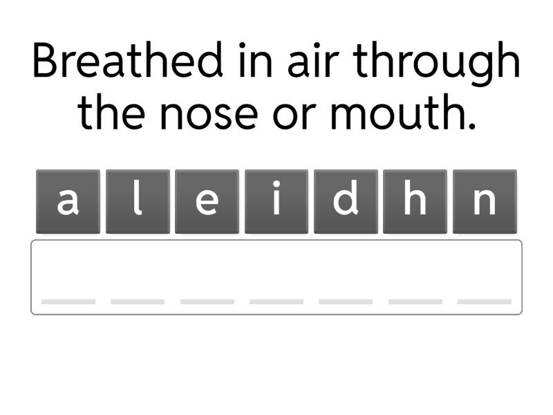 U4W3 - The Garden of Happiness - Vocabulary - Anagram