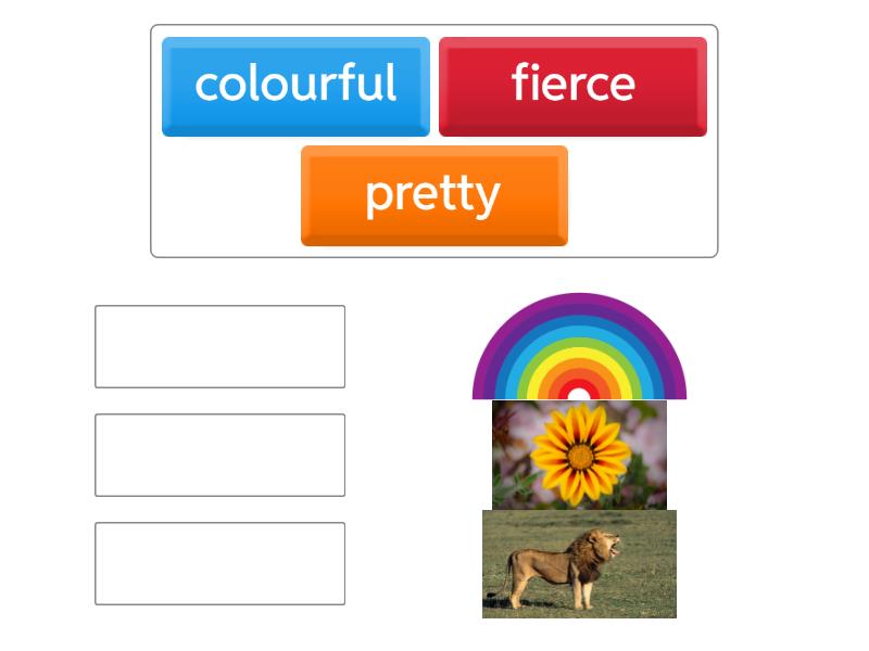Adjective match - Match up