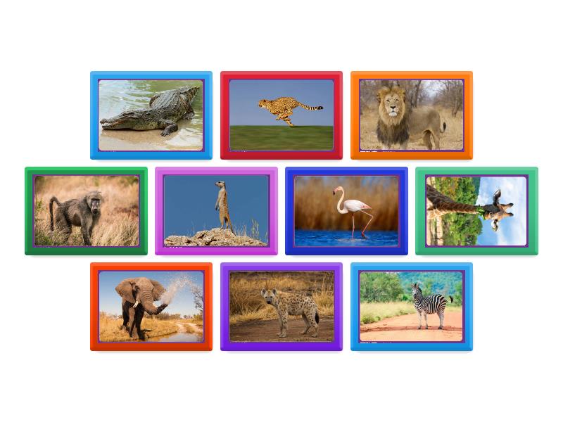 Open Up 5 Unit 5 wild animals - Flip tiles